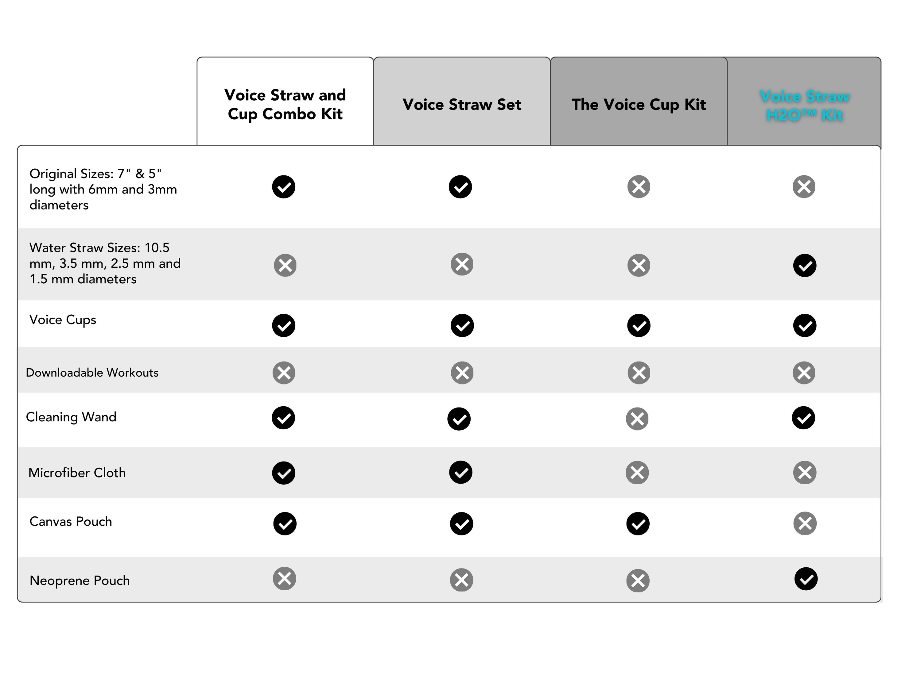 Products – VoiceStraw